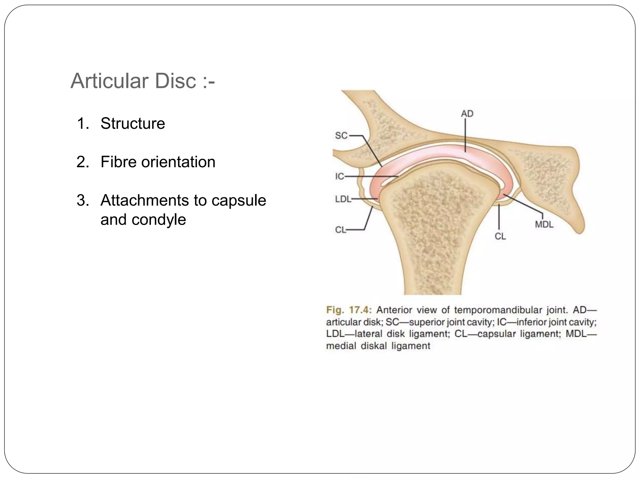 GROWTH AND DEVELOPMENT OF TEMPOROMANDIBULAR JOINT.pptx