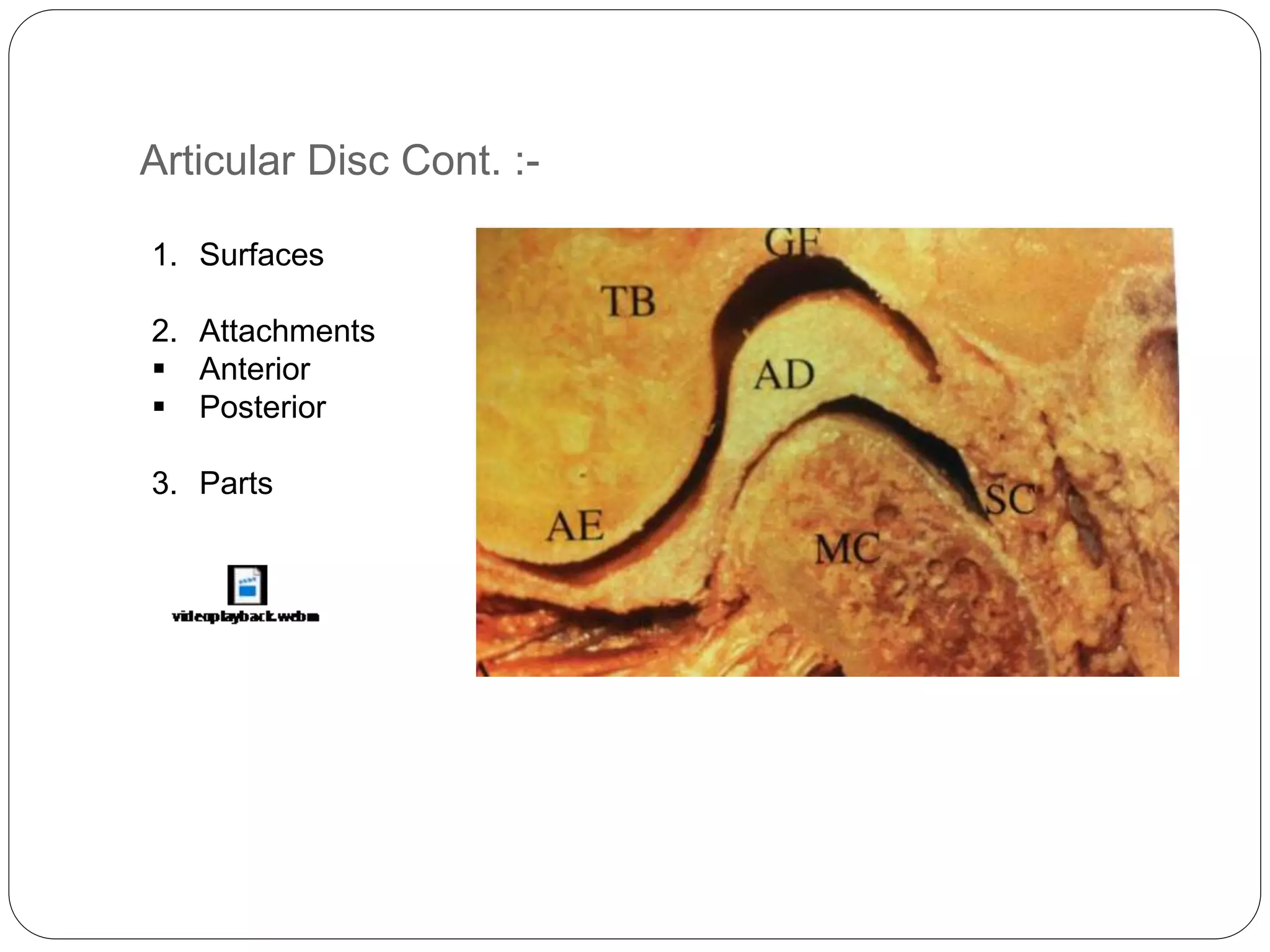 GROWTH AND DEVELOPMENT OF TEMPOROMANDIBULAR JOINT.pptx