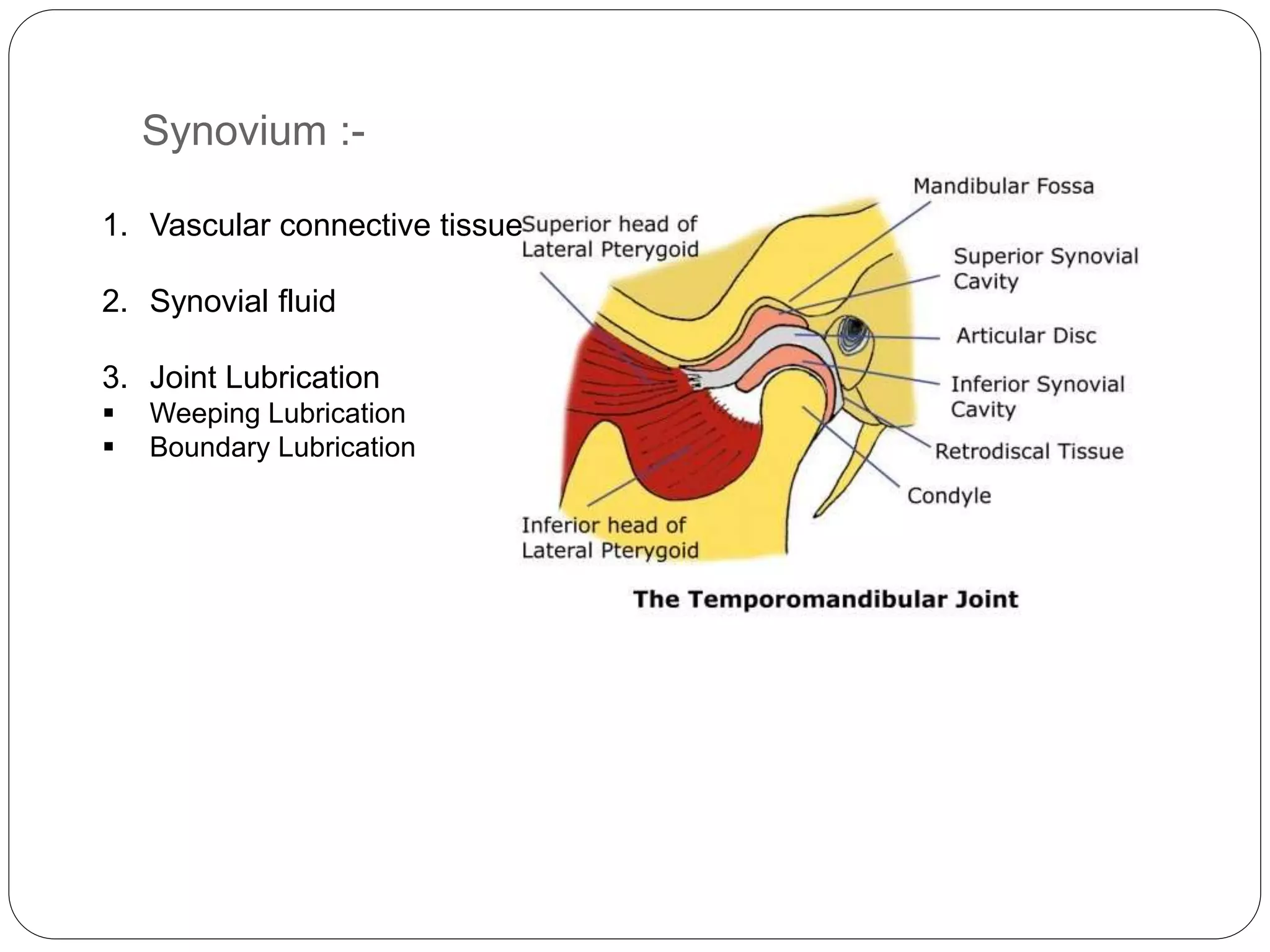 GROWTH AND DEVELOPMENT OF TEMPOROMANDIBULAR JOINT.pptx