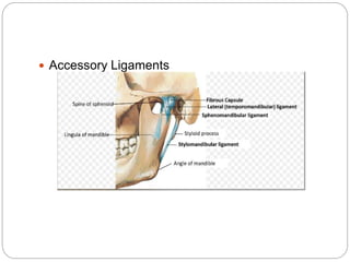 GROWTH AND DEVELOPMENT OF TEMPOROMANDIBULAR JOINT.pptx