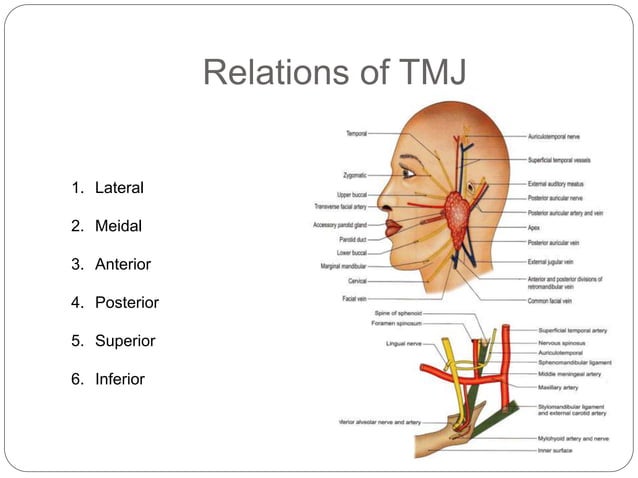 GROWTH AND DEVELOPMENT OF TEMPOROMANDIBULAR JOINT.pptx | Pregnancy ...