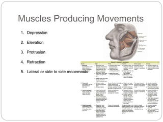 GROWTH AND DEVELOPMENT OF TEMPOROMANDIBULAR JOINT.pptx