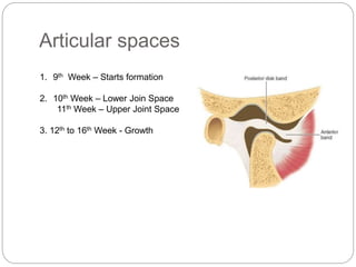 GROWTH AND DEVELOPMENT OF TEMPOROMANDIBULAR JOINT.pptx