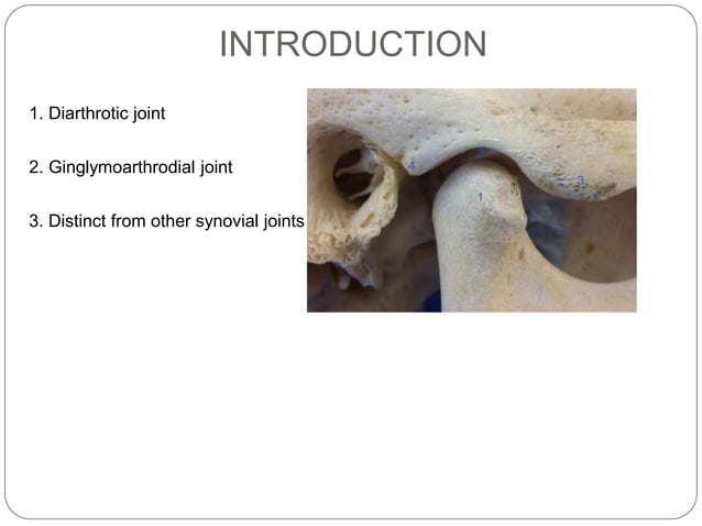 GROWTH AND DEVELOPMENT OF TEMPOROMANDIBULAR JOINT.pptx | Pregnancy ...
