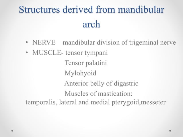 Growth and development of the mandible | PPTX | Bone and Joint ...