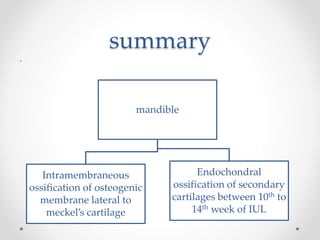 Growth and development of the mandible | PPTX
