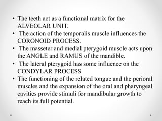 Growth and development of the mandible | PPTX
