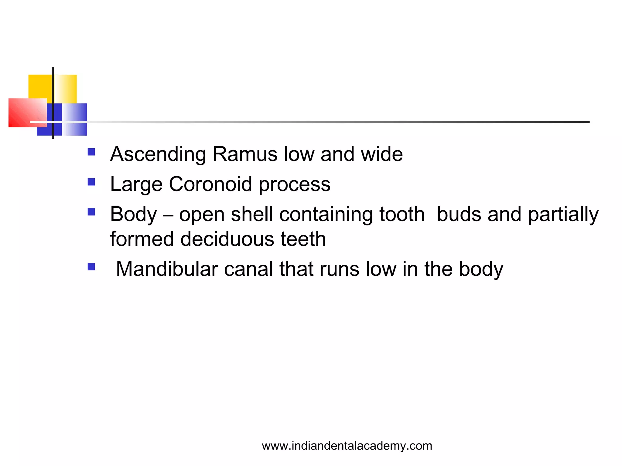 Growth and development of the mandible/prosthodontic courses | PPT