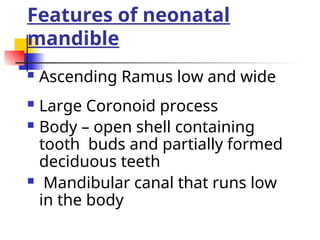 GROWTH AND DEVELOPMENT OF THE MANDIBLE1.ppt