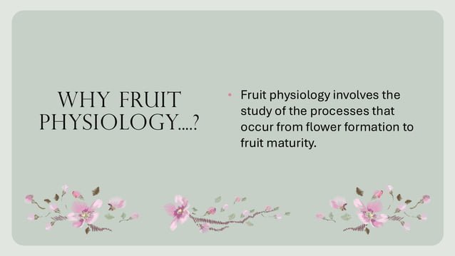 Physiology of fruit : fruit set, development, growth, flower and fruit ...