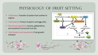 Physiology of fruit : fruit set, development, growth, flower and fruit ...
