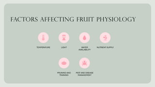 Physiology of fruit : fruit set, development, growth, flower and fruit ...