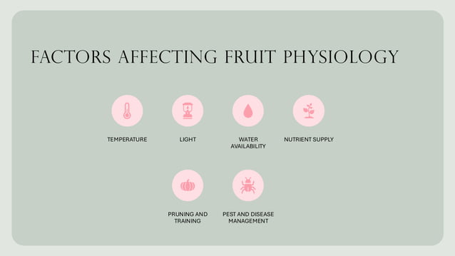 Physiology of fruit : fruit set, development, growth, flower and fruit ...