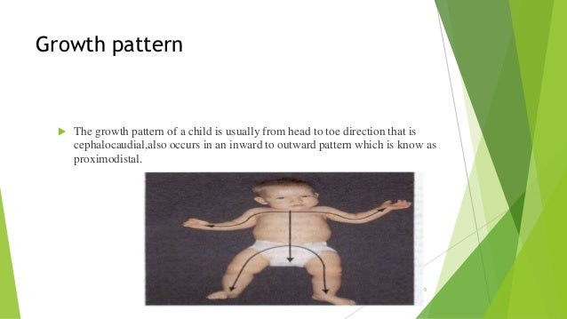 Growth and development presentation
