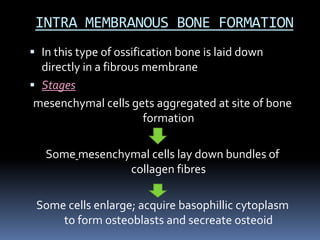 Growth and devlopment in orthodontics | PPTX