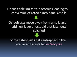 Growth and devlopment in orthodontics | PPTX