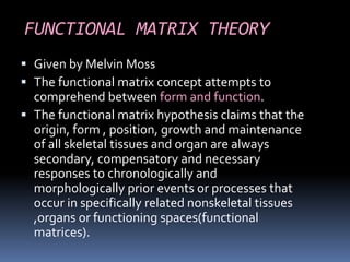 Growth and devlopment in orthodontics | PPT