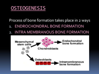 Growth and devlopment in orthodontics | PPTX