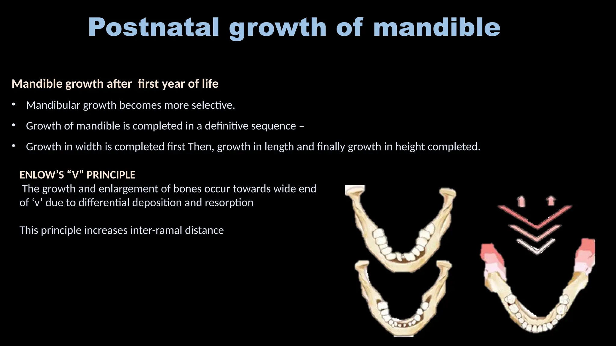 growth and development of craniofacial complex | PPT