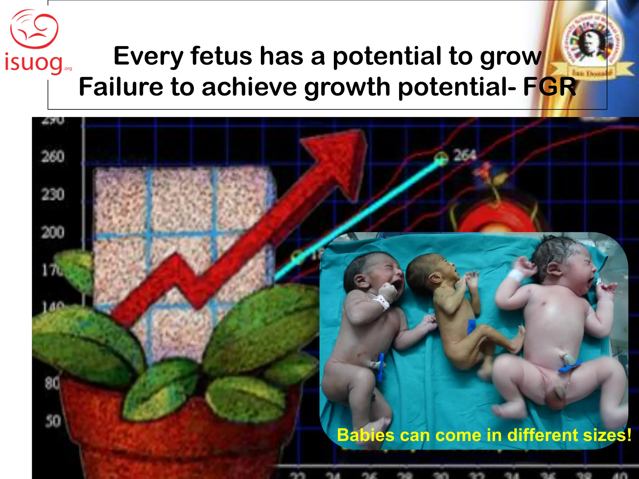 FETAL GROWTH ASSESSMENT CONCEPT OF F.G.R. & PLOTTING GROWTH CHARTS | PDF