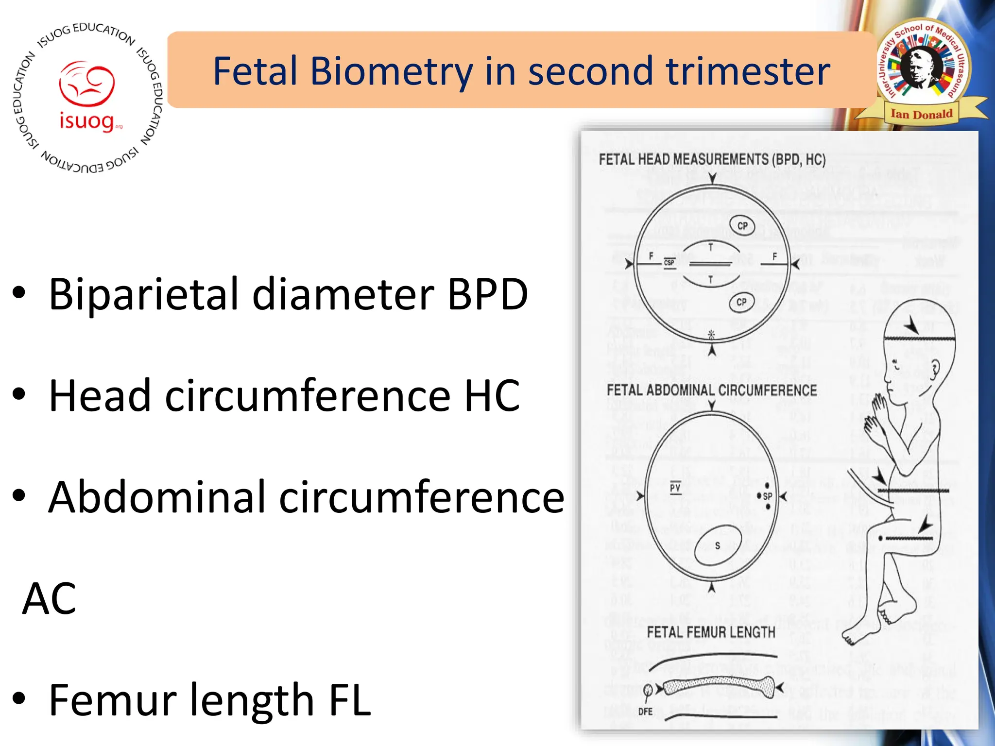 FETAL GROWTH ASSESSMENT CONCEPT OF F.G.R. & PLOTTING GROWTH CHARTS | PDF