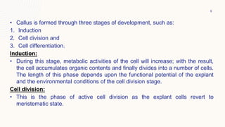 GROWTH AND MAINTENANCE OF PLANT TISSUE CULTURE Hemaharshini.pptx