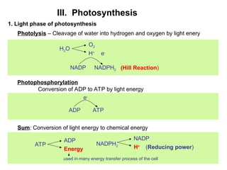 INTRODUCTION TO GROWTH AND METABOLISM.PPT