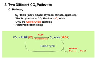 INTRODUCTION TO GROWTH AND METABOLISM.PPT