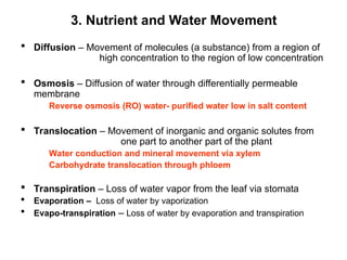Growth, Development and Metabolisme of plant | PPT