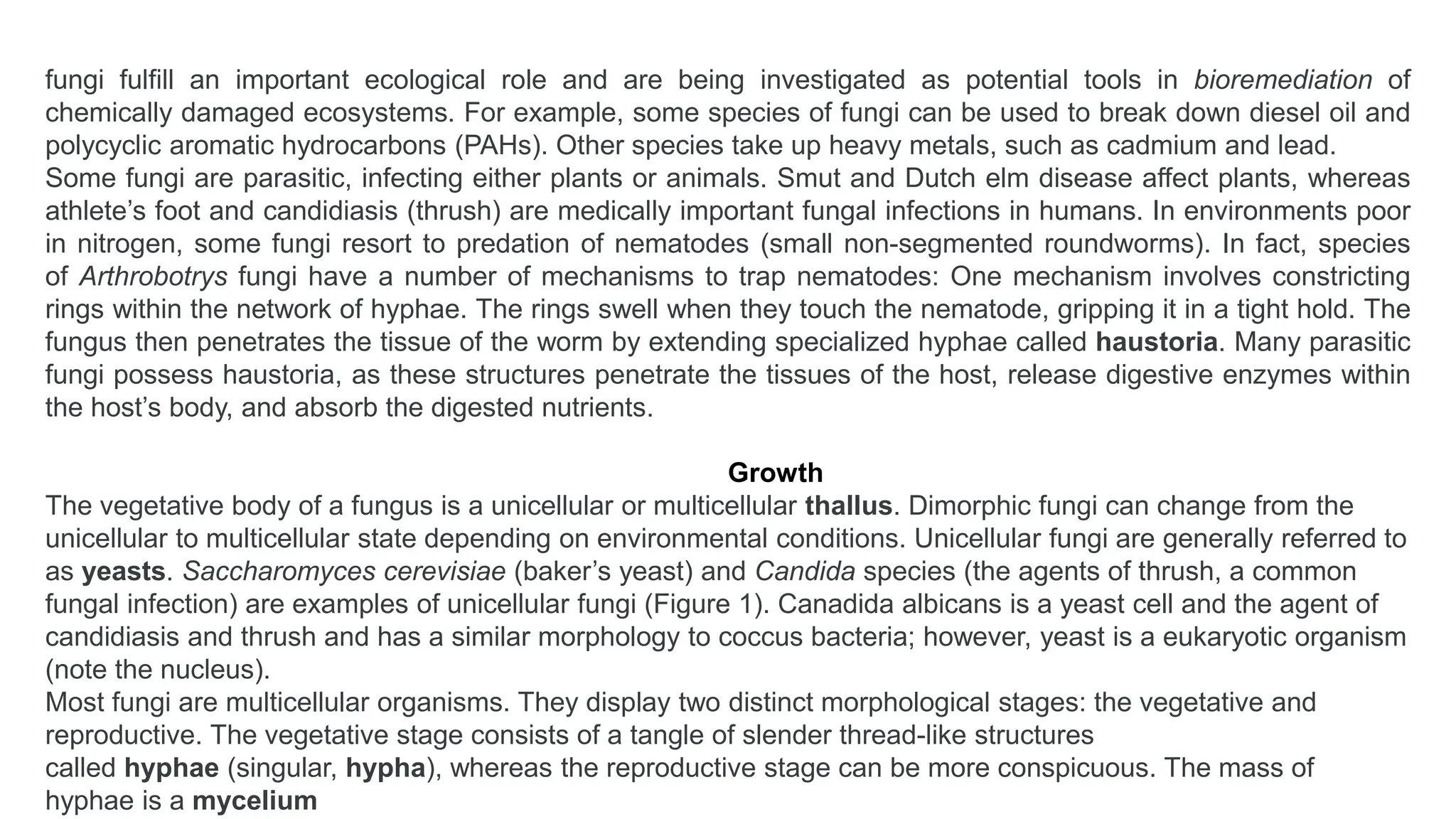 Growth and nutrition of fungi msc plant Pathology.pptx