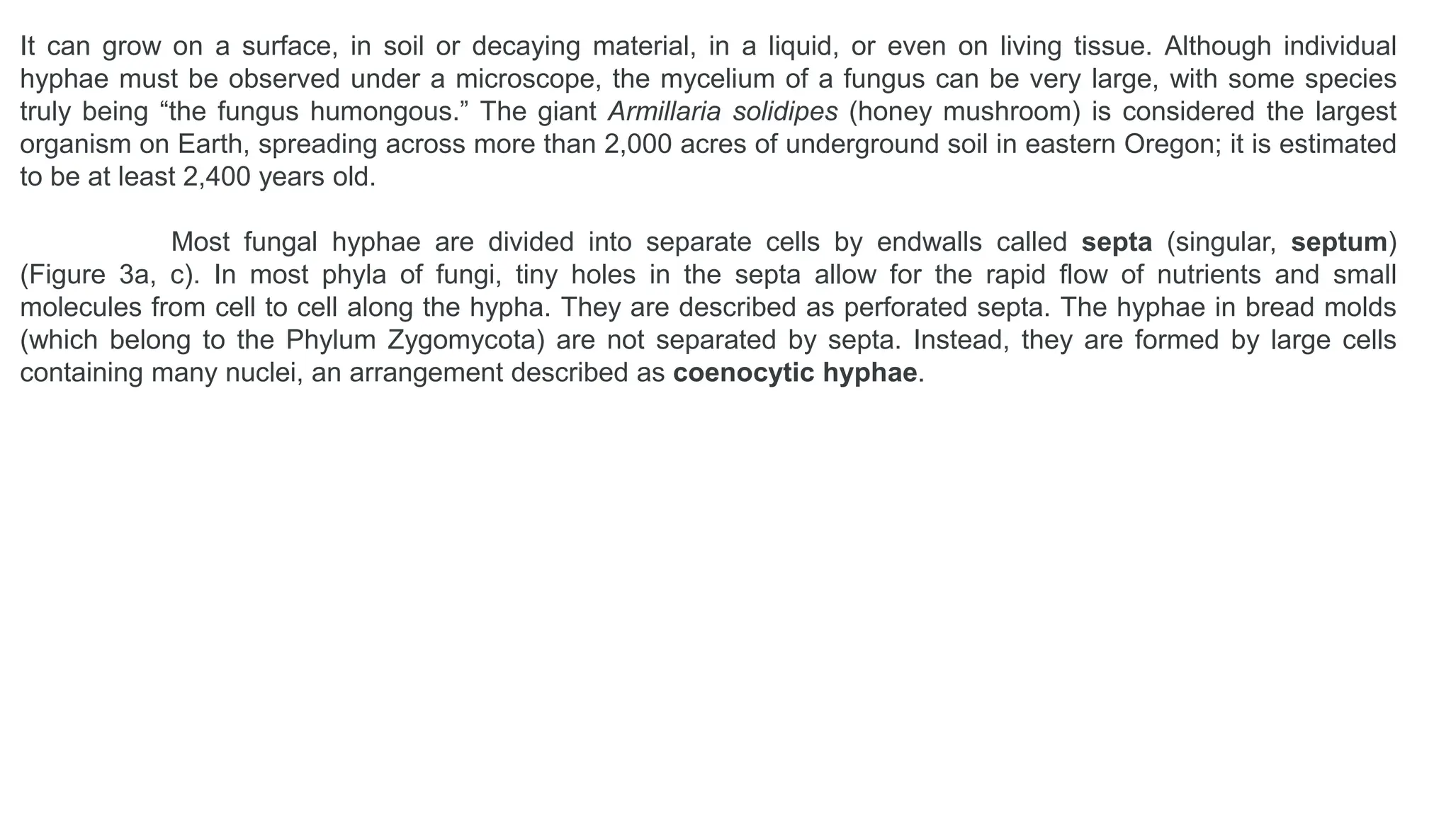 Growth and nutrition of fungi msc plant Pathology.pptx
