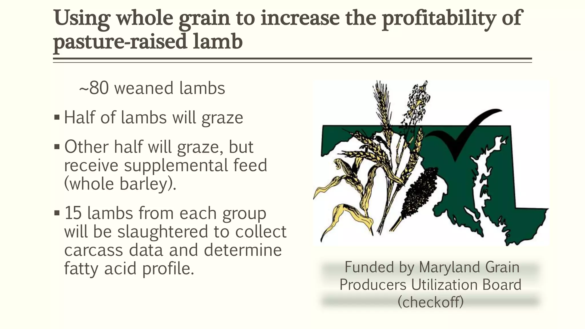 Growth and performance of lambs and kids on pasture | PPTX