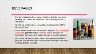 GROWTH AND PRODUCT FORMATION IN INDUSTRIAL PROCESS.pptx