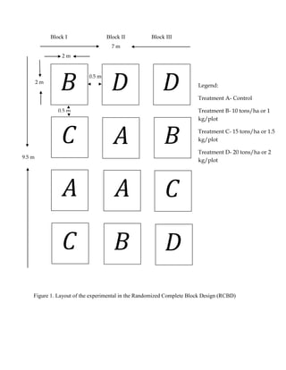 Growth and yield performance of bush sitao to the different levels of ...