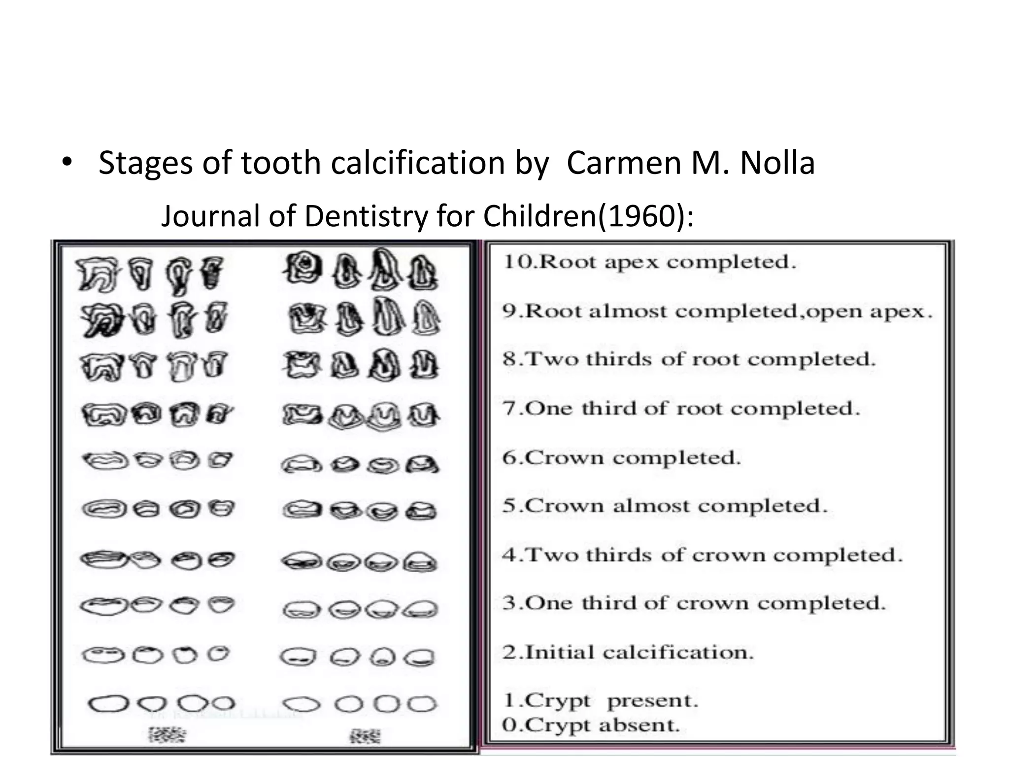 Growth assessment in Orthodontics | PDF