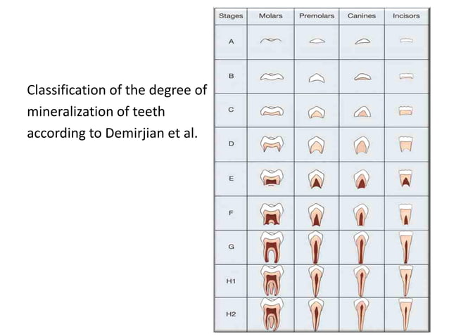 Growth assessment in Orthodontics | PDF