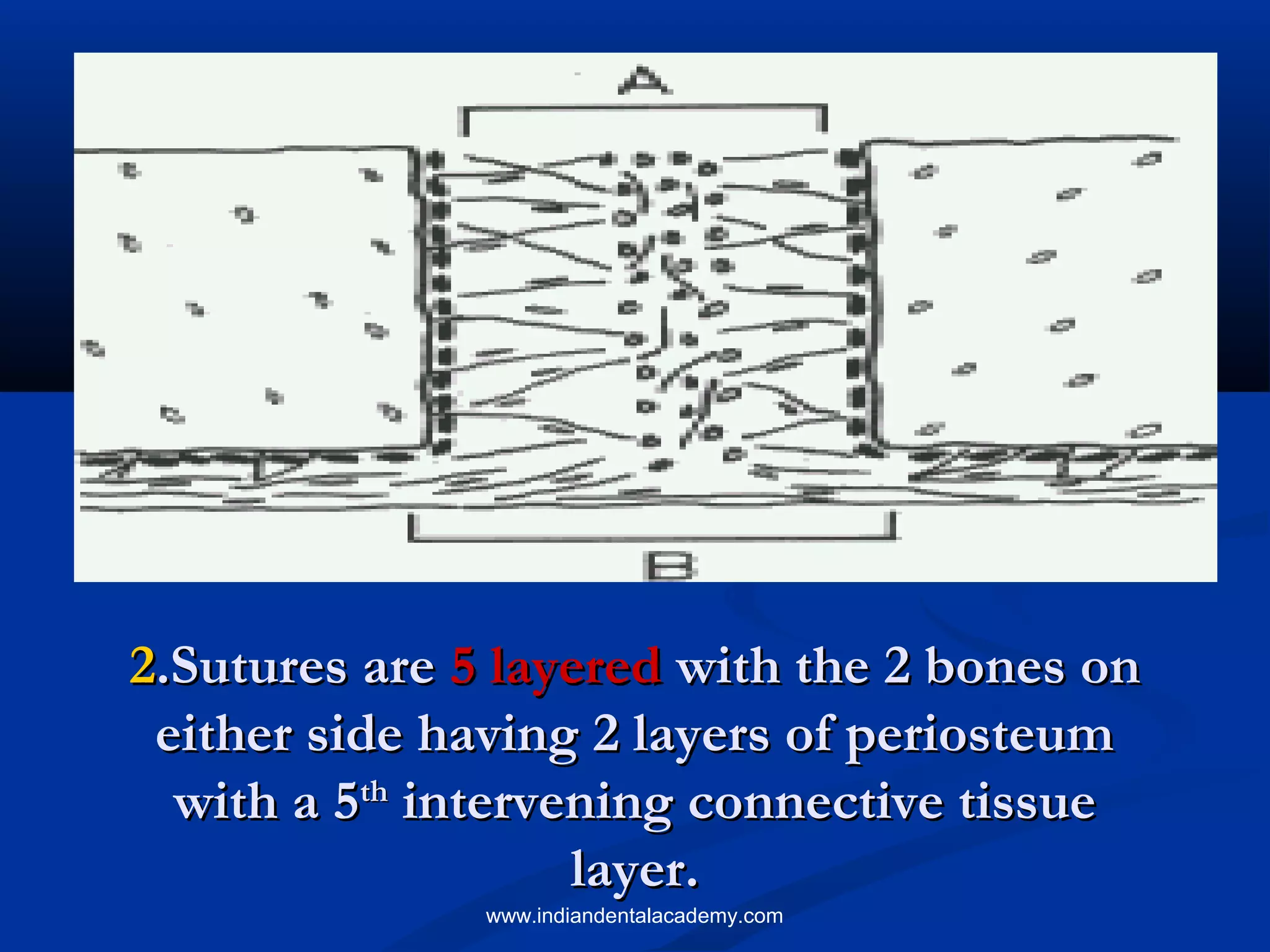 Growth centres and sites | PPT