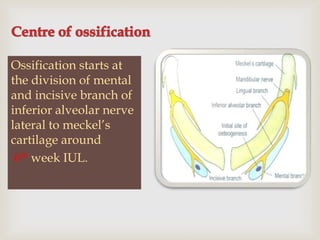 Growth changes of mandible | PPTX