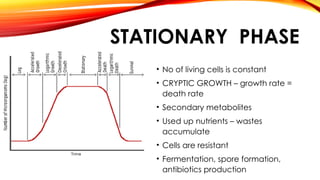 growth curve presentation for collge microbiology | PPT