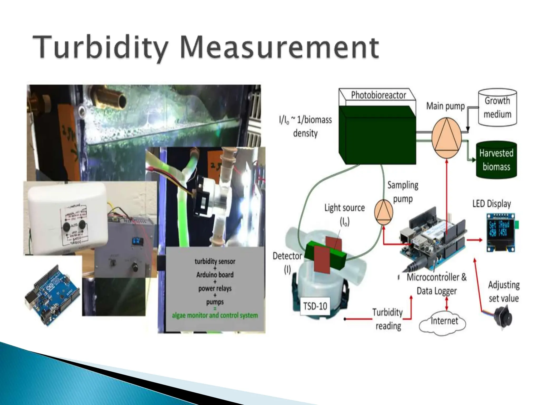 Growth curve and Measurement of algal growth | PPTX