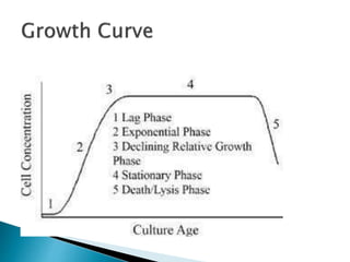 Growth curve and Measurement of algal growth | PPTX