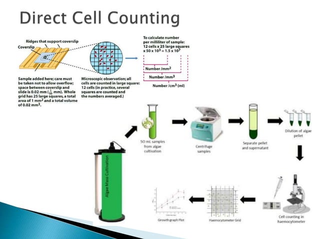 Growth curve and Measurement of algal growth | PPTX
