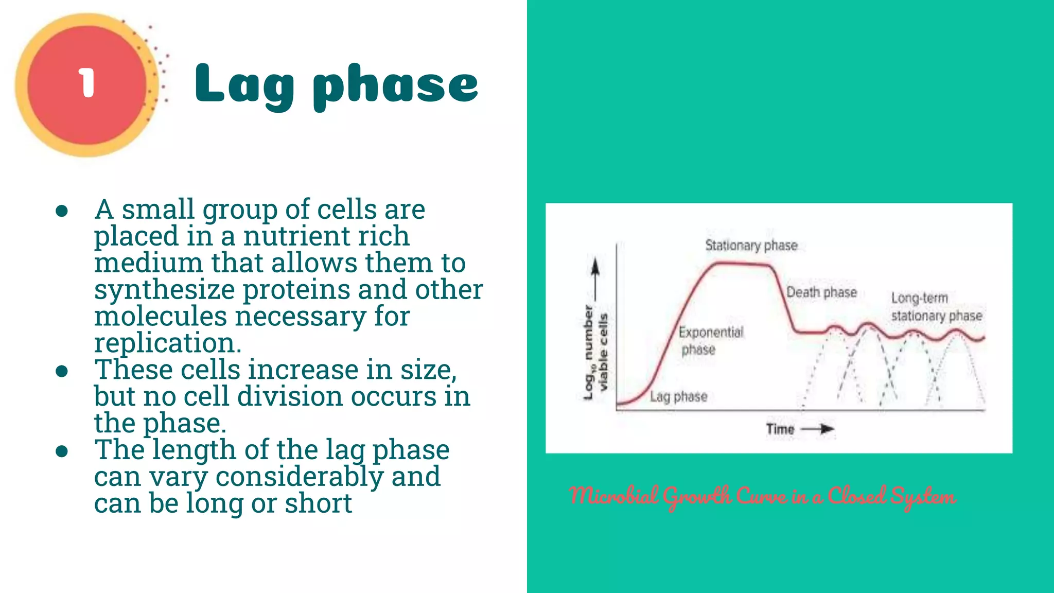 Microbial Growth curve | PPTX