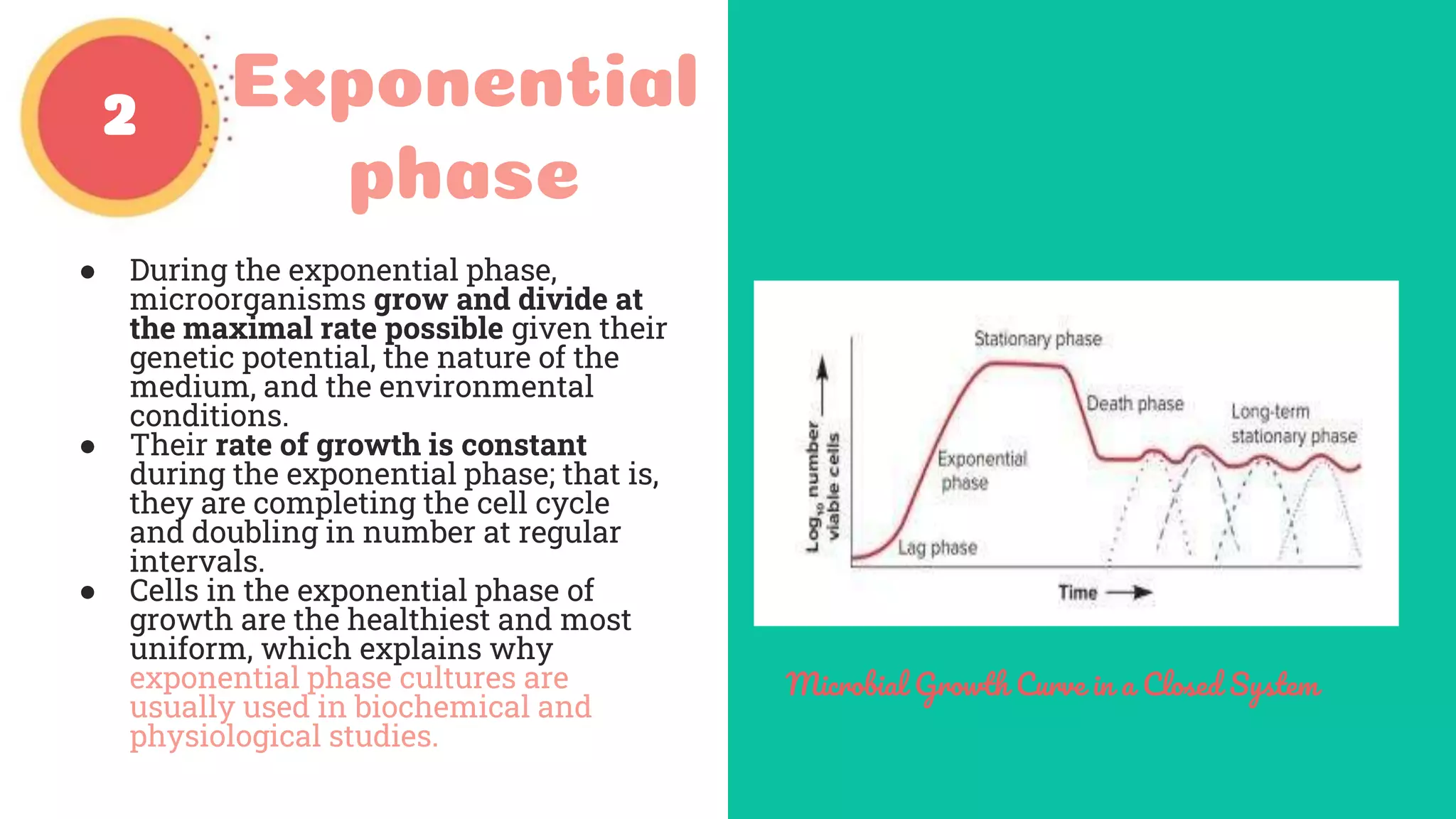 Microbial Growth curve | PPTX