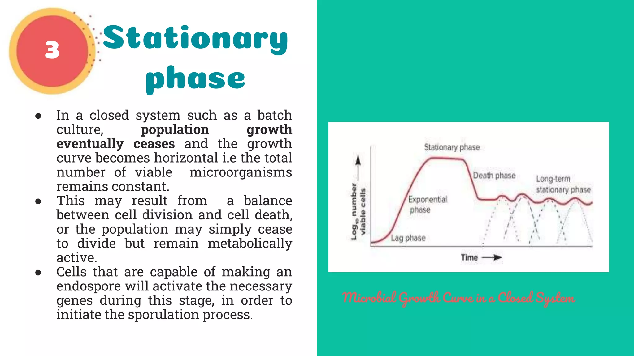 Microbial Growth curve | PPTX