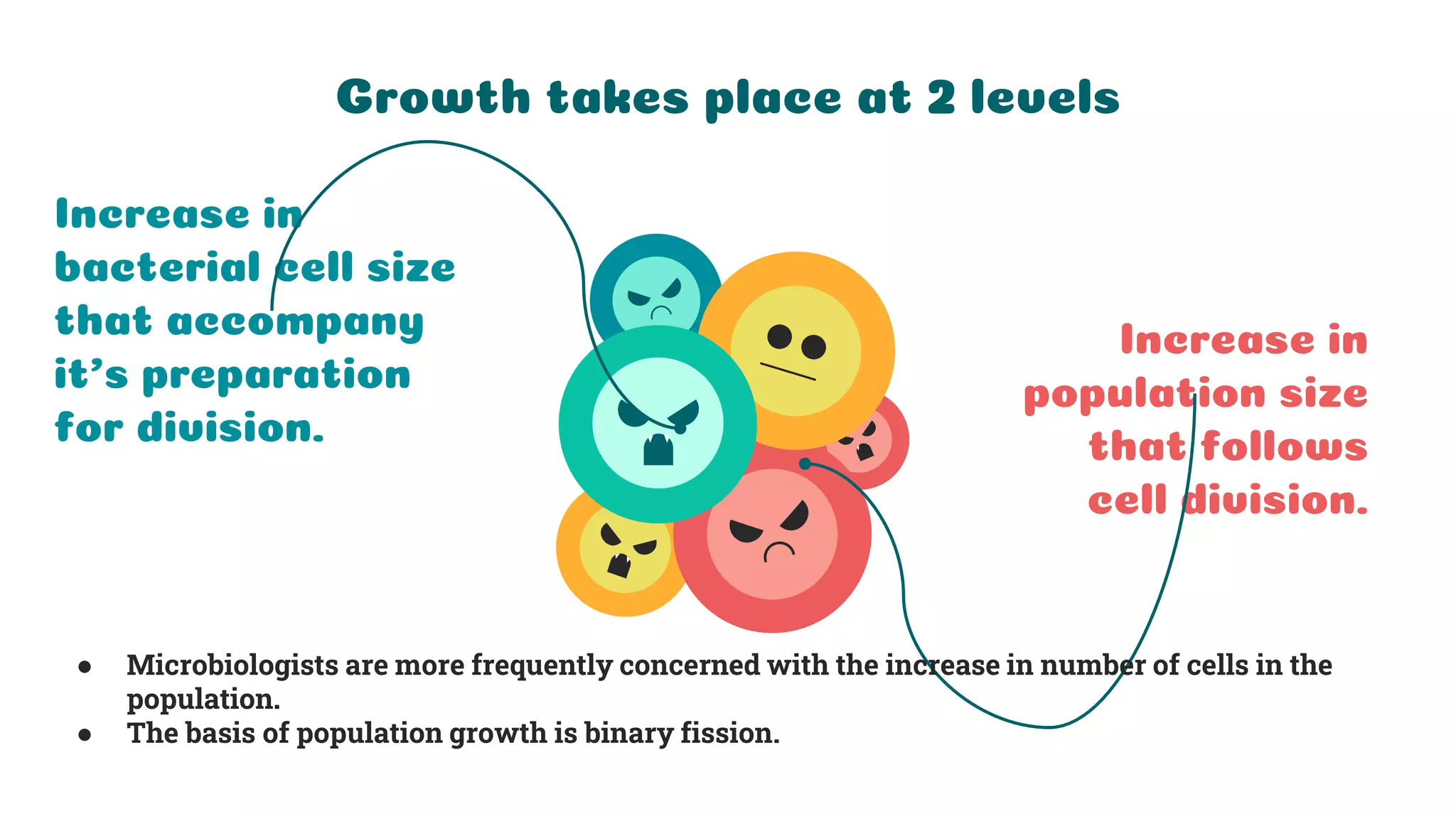 Microbial Growth curve | PPTX