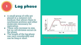 Microbial Growth curve | PPTX