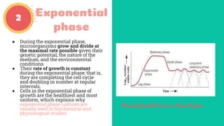 Microbial Growth curve | PPTX