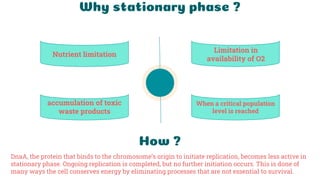 Microbial Growth curve | PPTX