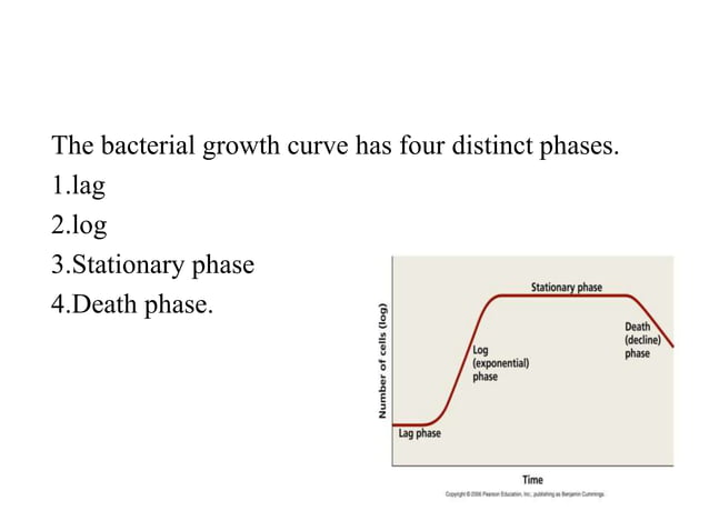 Growth curve of bacteria | PPT